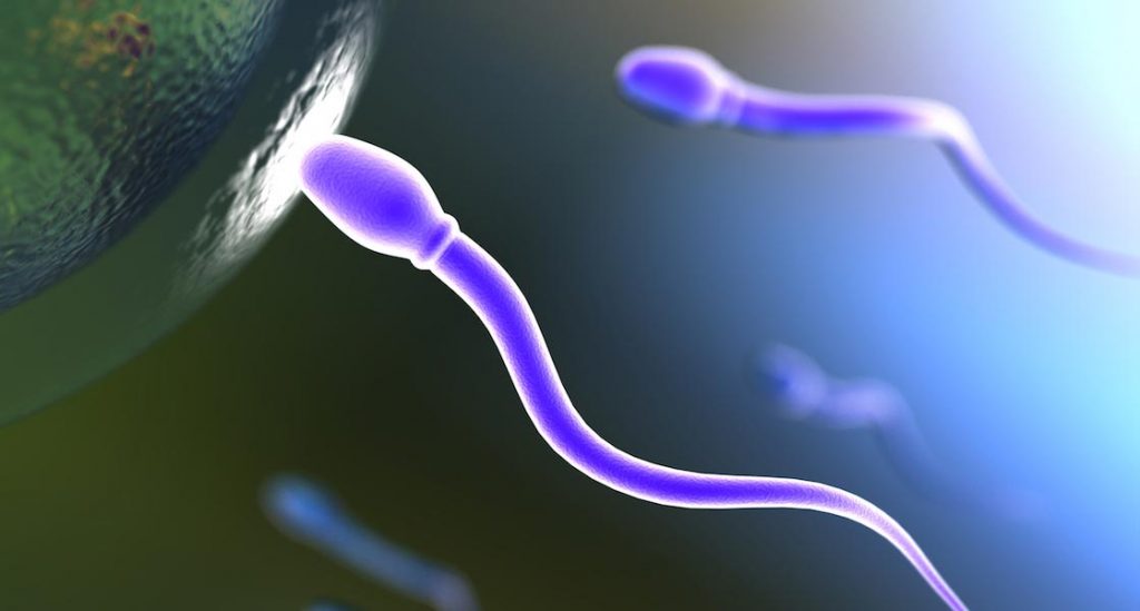 Yes-Men-Do-Have-A-Biological-Clock-(And-What-You-Can-Do-About-It) - The ...