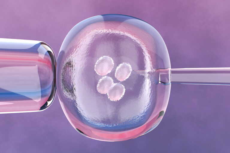 The IVF Process – What Happens During An IVF Cycle?