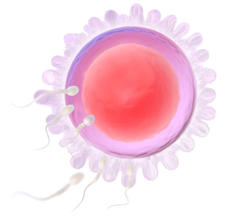 Fertility Clinic in London for IVF - The Fertility Academy