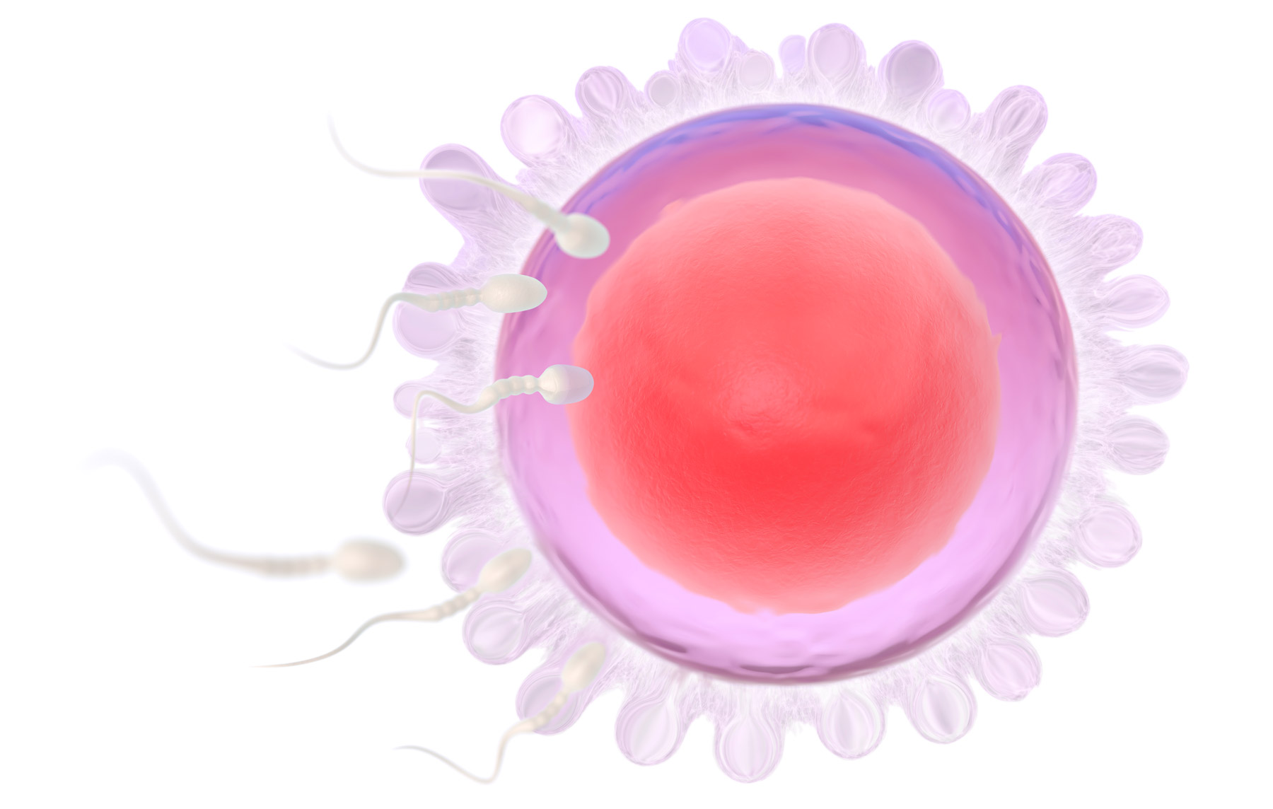 Fertility Clinic in London for IVF - The Fertility Academy