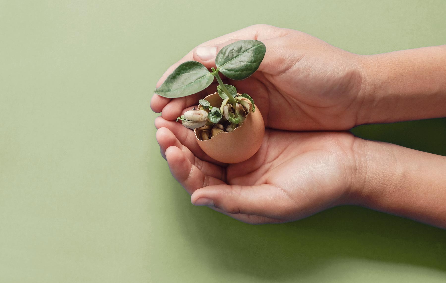 Egg Donation Process UK ǀ Find An Egg Donor in London, UK