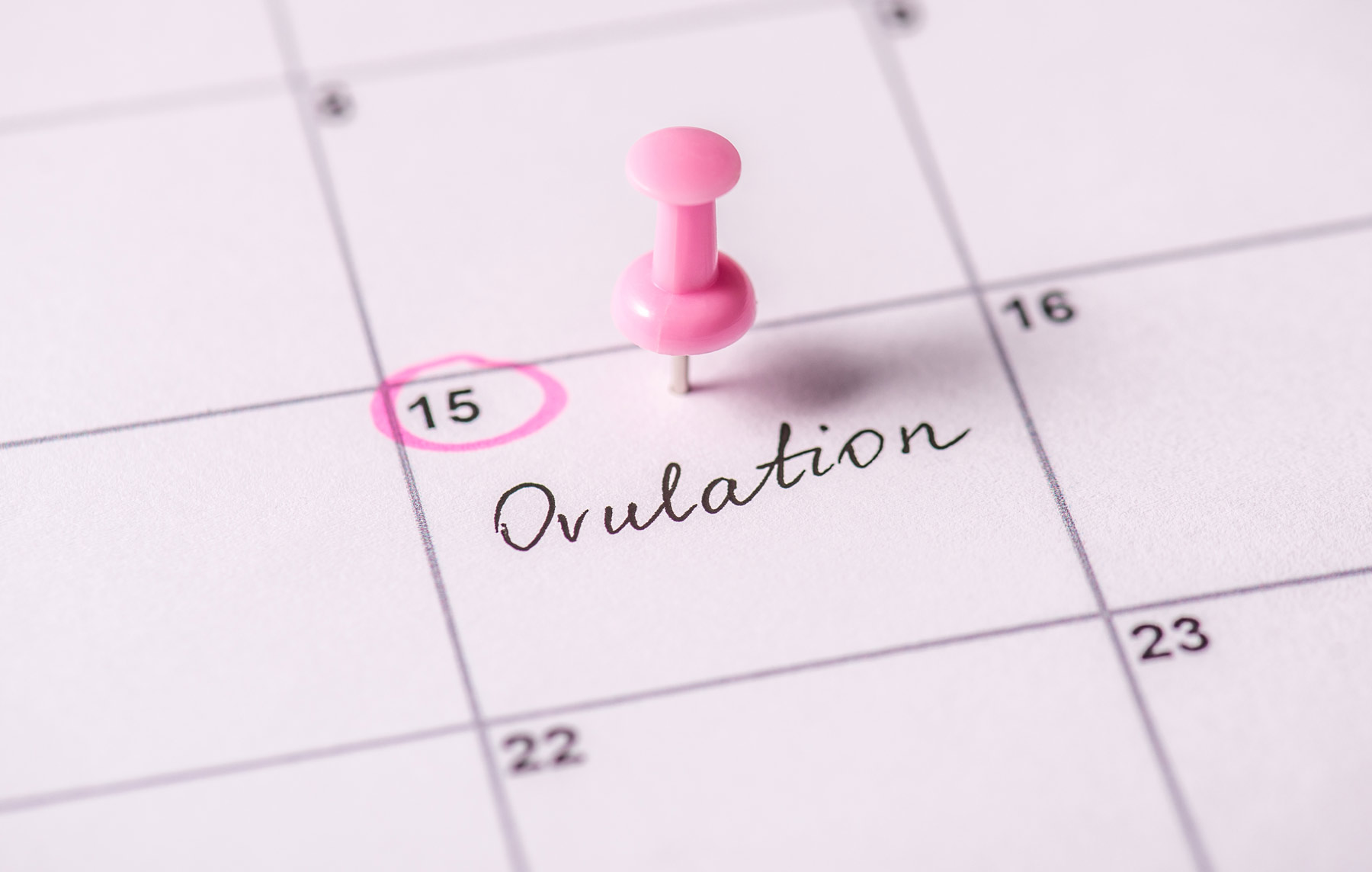 Ovulation Induction: Monitoring Your Menstrual Cycle