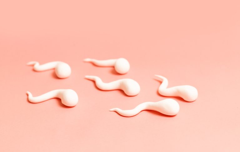 PICSI - Selecting the Best Sperm Possible for Fertilisation | Top ...