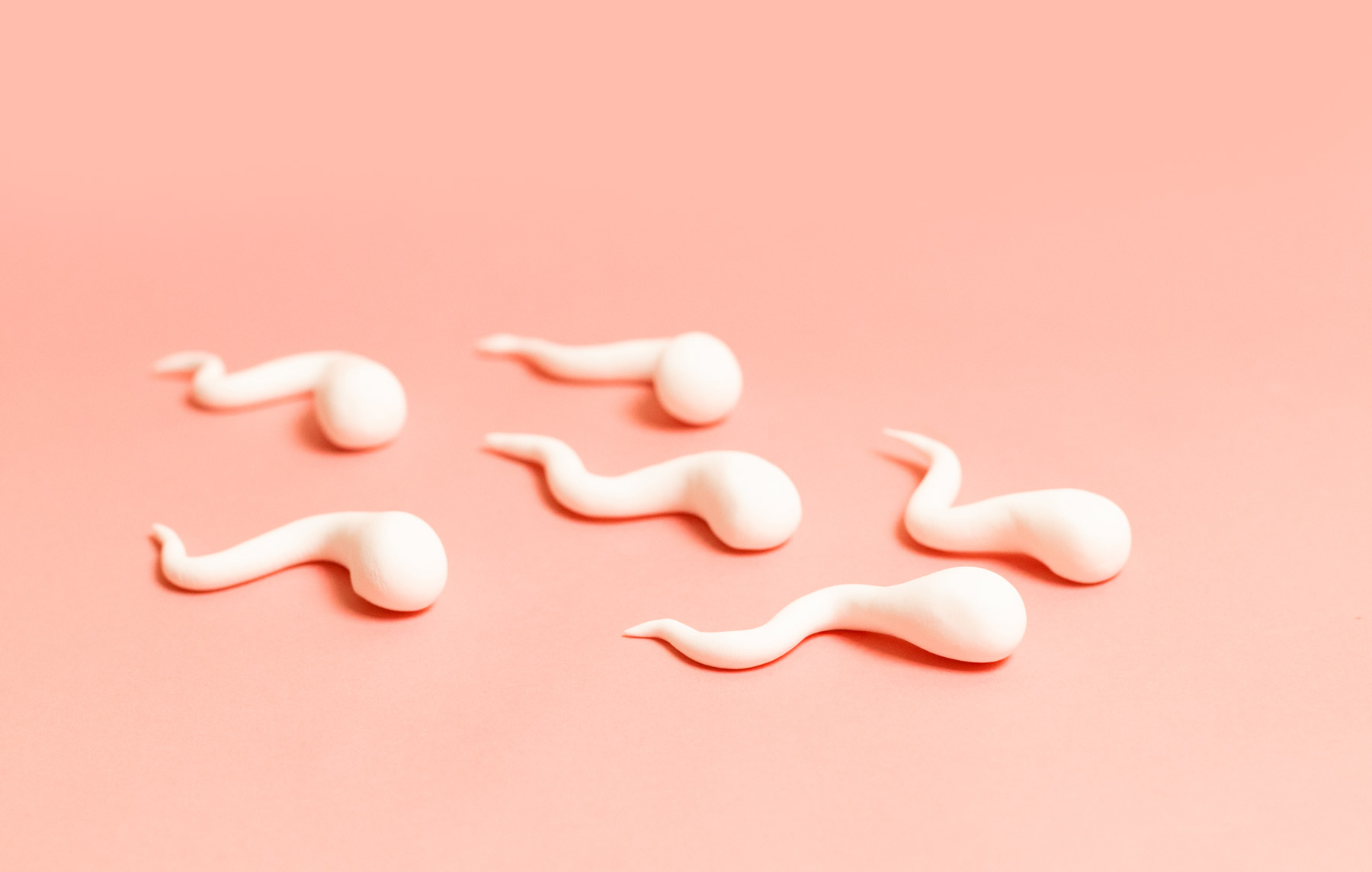 PICSI - Selecting the Best Sperm Possible for Fertilisation | Top ...