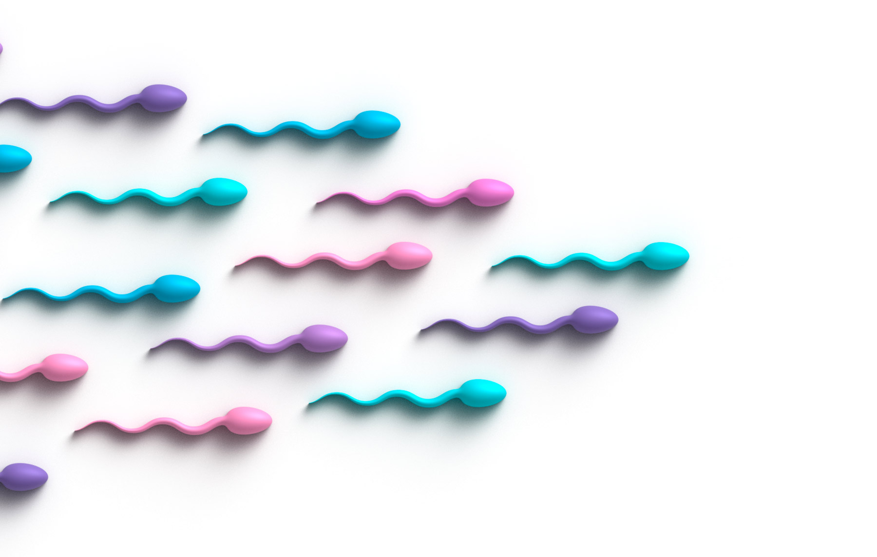 Surgical Sperm Aspiration, Sperm Collection And Retrieval