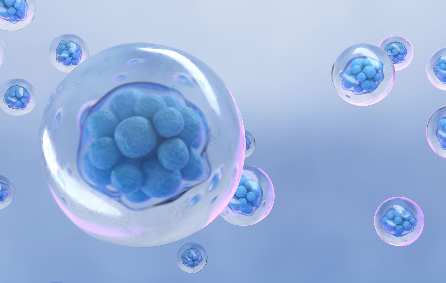 Time Lapse Imaging (Embryoscope) in London 2025