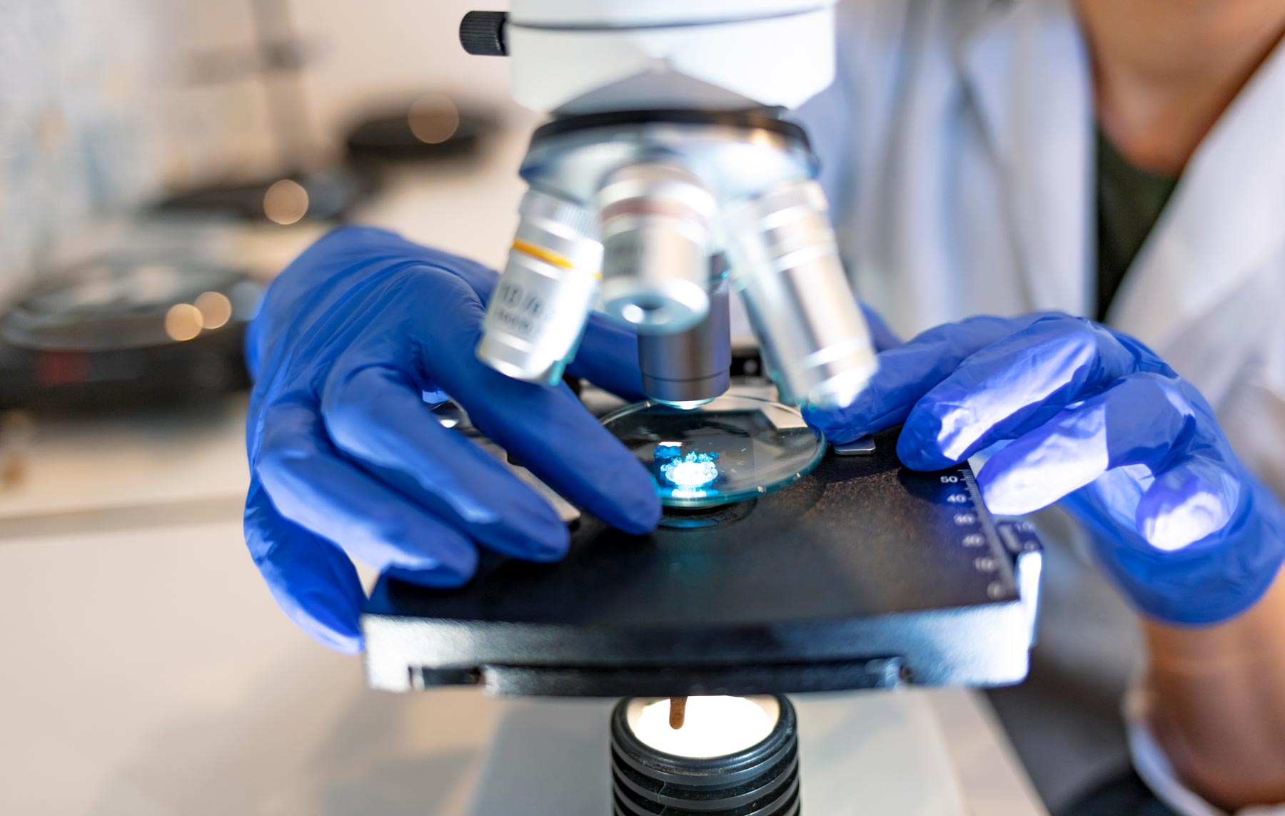 Embryology Team ǀ The Fertility and Gynaecology Academy